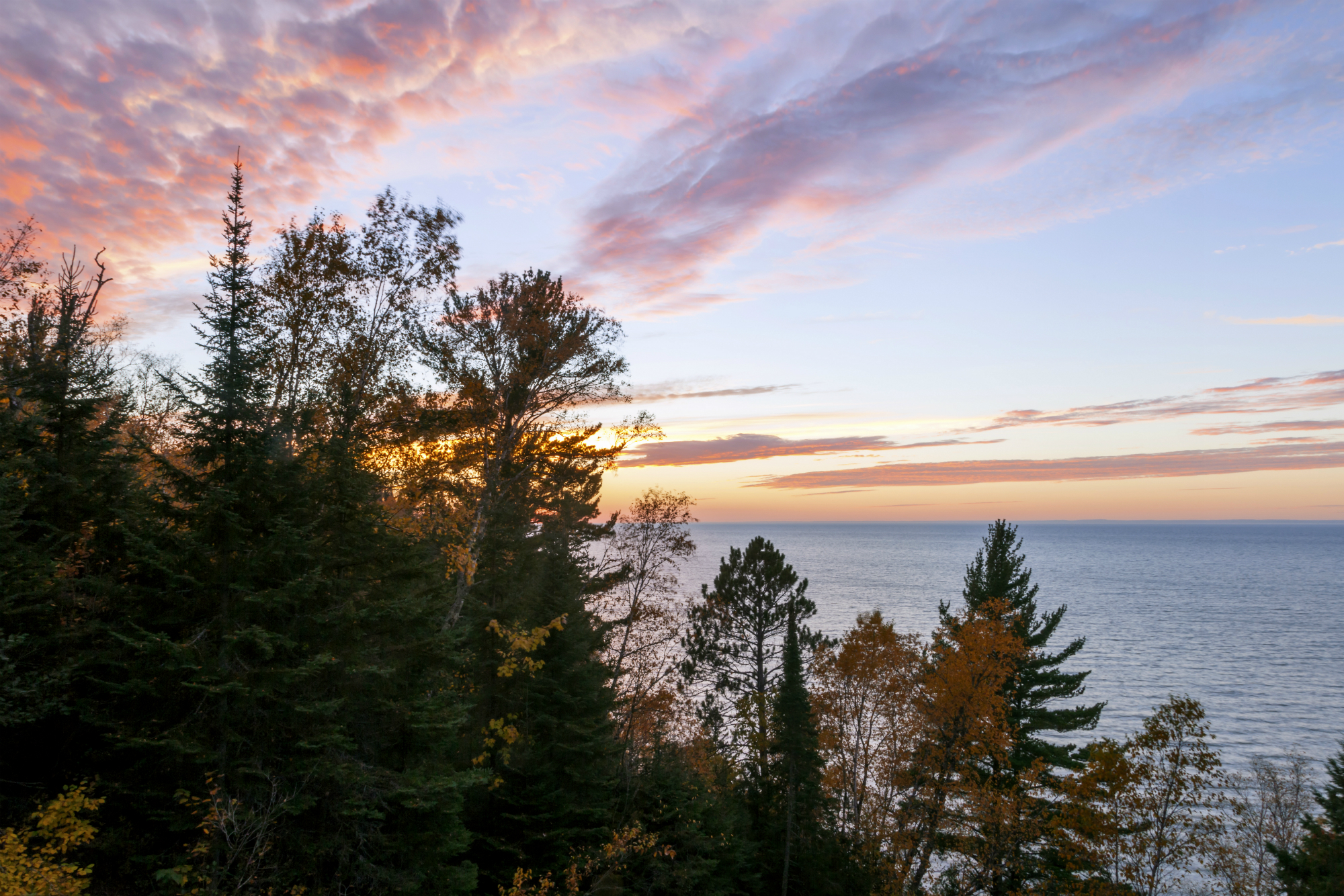 CORONOIDOTOMY VERSUS CORONOIDECTOMY