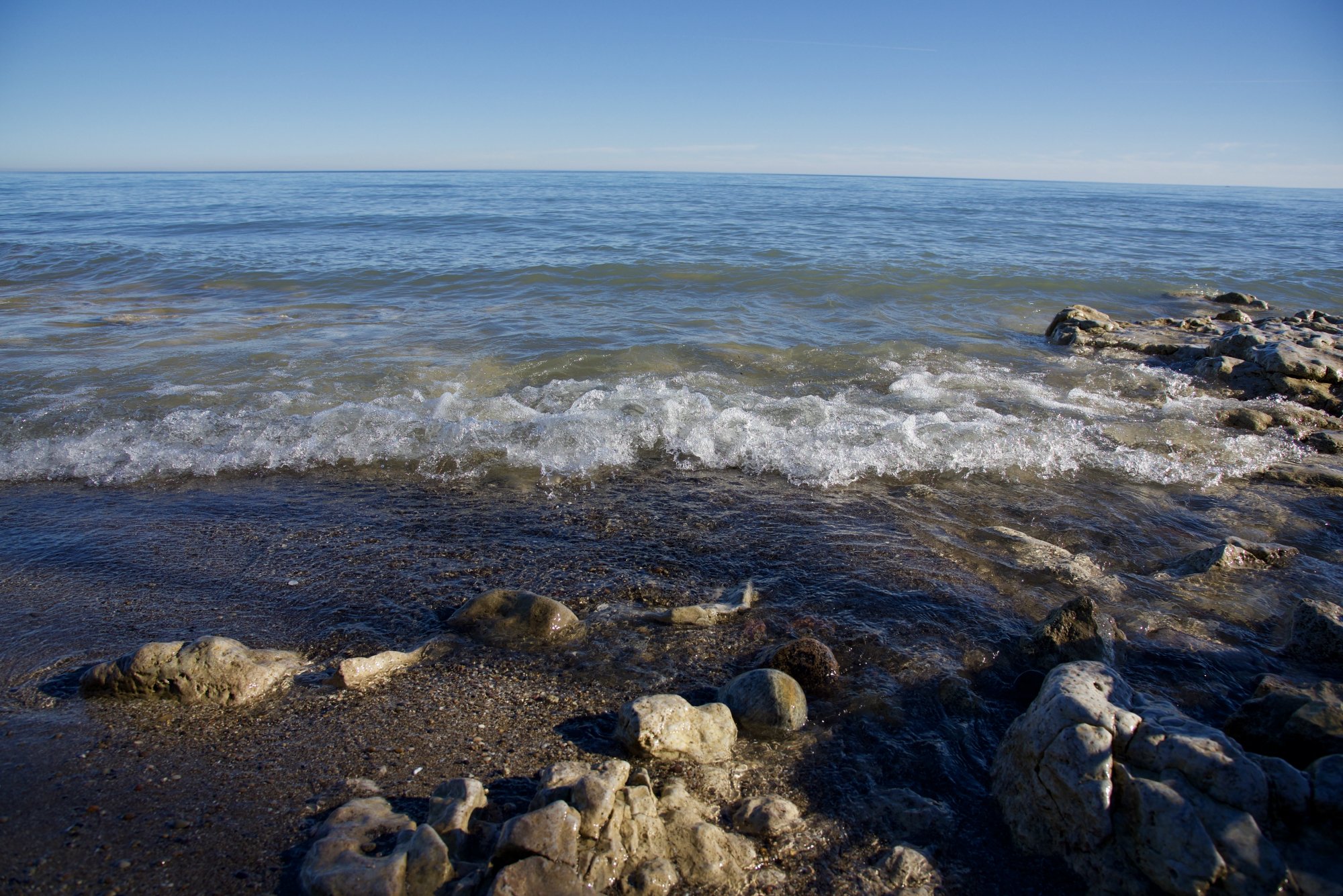 CORONOIDOTOMY VERSUS CORONOIDECTOMY